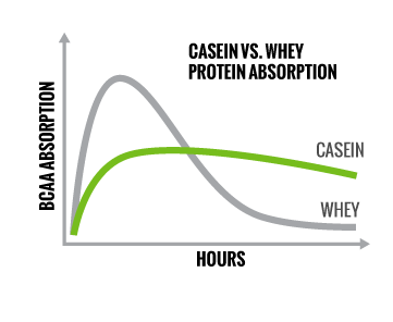 NutriTechfit-Casein-Slow-Release-graph - Vitatech Health